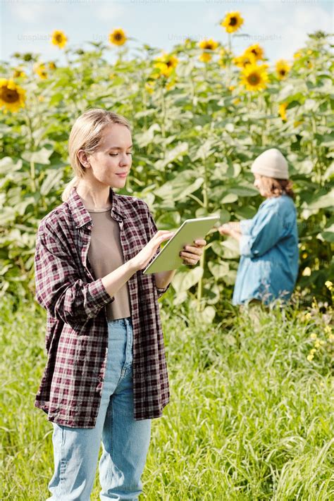 카메라 앞에 서서 해바라기 밭과 성숙한 여성에 대해 디지털 태블릿을 사용하는 작업복을 입은 젊은 진지한 여성 농부 사진