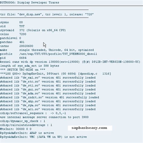 How To Monitor Sap Developer Trace Files Sap Basis Easy