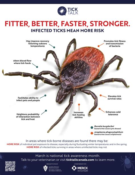 Tick Awareness Week 2024 Zoe Lindie