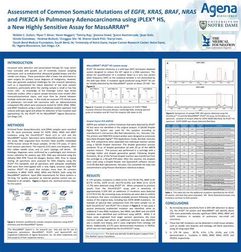 Pdf Assessment Of Common Somatic Mutations Of Egfr Kras Braf Nras In Pulmonary Non Small