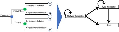 Diagrammatic Illustration Of The Markov Model Used In Combination With Download Scientific