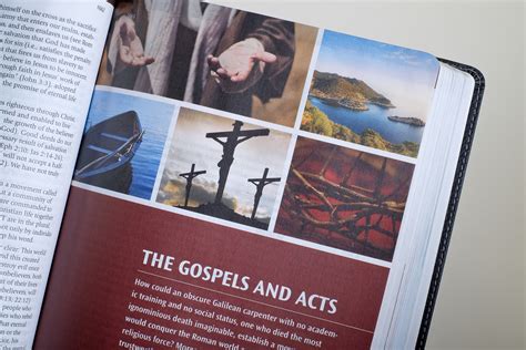 The Cross And Passover Tyndale Bibles