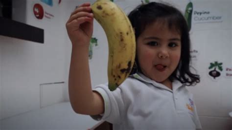 Bogotanitos Que Nos Enseñan A Separar Residuos Secretaría De Cultura Recreación Y Deporte