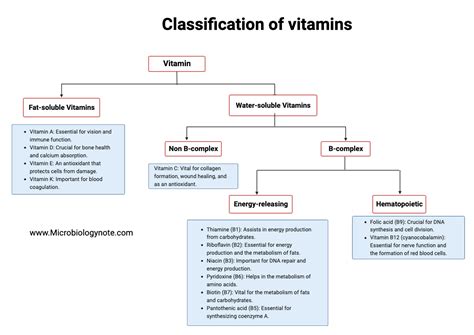 Classification Of Vitamins Types Of Vitamins Vitamins Vitamin
