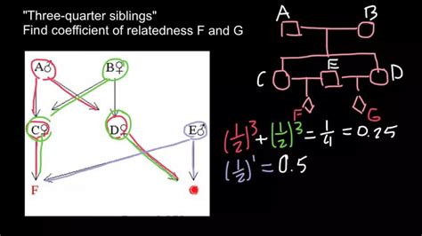 Tricky Relationship Problem And Solution Genetics Advanced Level