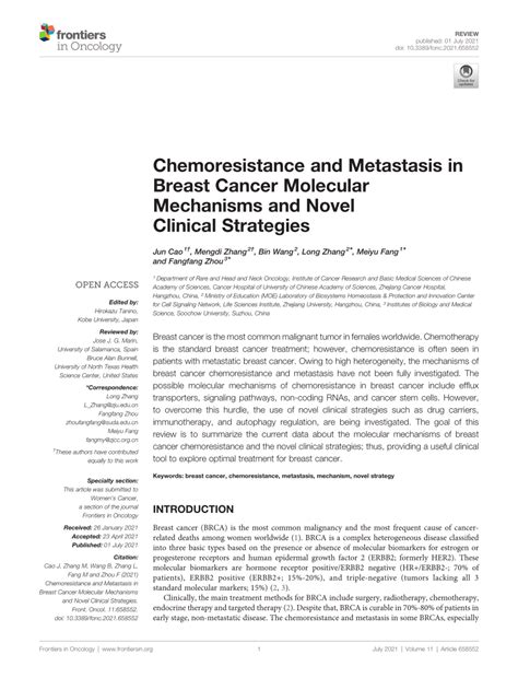 Pdf Chemoresistance And Metastasis In Breast Cancer Molecular