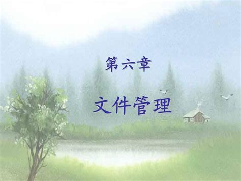 计算机操作系统第六章ch6 Word文档在线阅读与下载 无忧文档