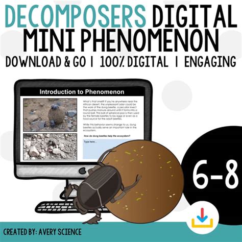 Decomposers And Cycling Of Matter Mini Digital Phenomenon Lesson By Avery Science
