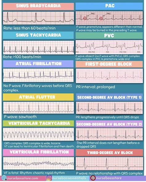 Rnnaif🧠🇸🇦 Er💛 Nursing888 On X Nursing School Essential Medical