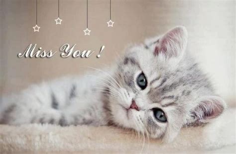 100 Of The Best I Miss You Memes To Send To Your Bae Inspirationfeed