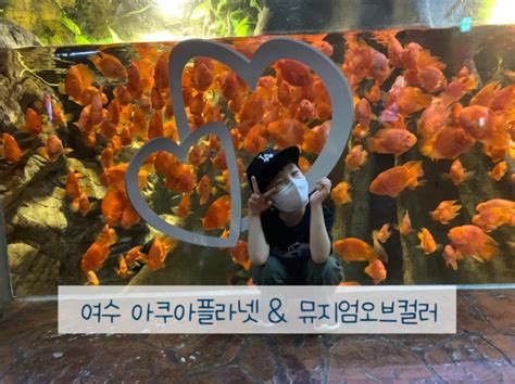 여수여행 아이와 가기좋은 여수 아쿠아플라넷 And 뮤지엄오브컬러 주차정보 네이버 블로그
