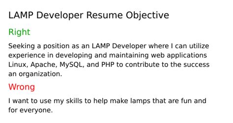 Top 17 Lamp Developer Resume Objective Examples Resumecat