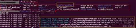 Ubuntu下nginx配置modsecurity详细思路及过程ubuntu Nginx Modsecurity Csdn博客