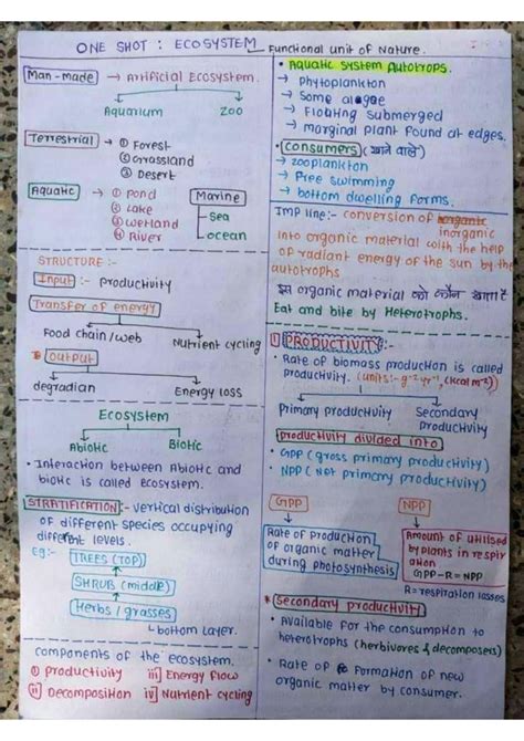 SOLUTION Science Ecosystem Functions Of Nature Studypool