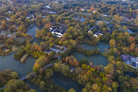 杭州西溪湿地航拍 沼泽湿地 自然风景 摄影素材 汇图网www huitu
