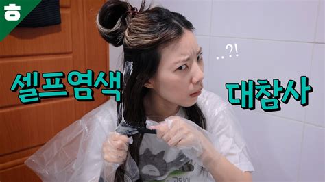 인간은 왜 같은 실수를 반복하는 걸까 Youtube