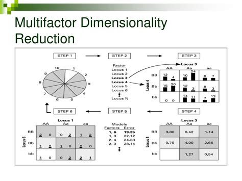 Ppt Multifactor Dimensionality Reduction Powerpoint Presentation Free Download Id604491