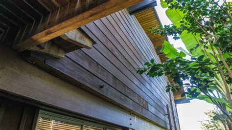 Paint Vs Stain For Cedar Cladding Hauraki Property Services