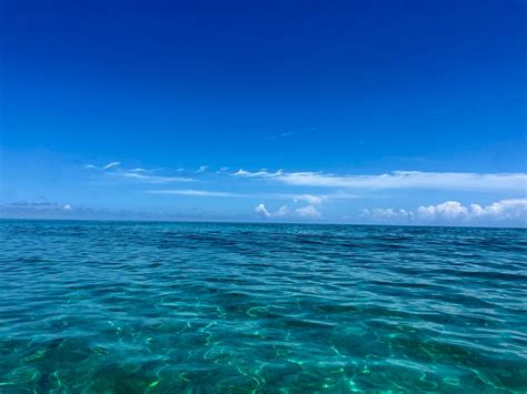 Authentication And Authorization With Flask Sqlalchemy By Cecilia