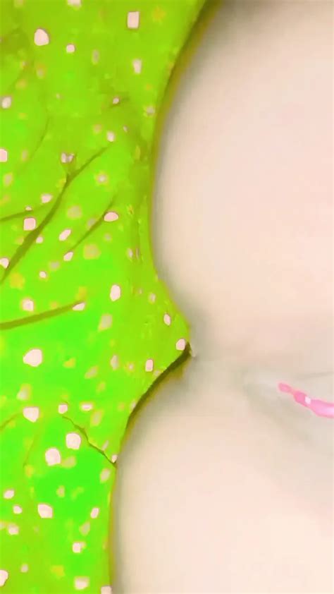 Free Indian New Sex Porn Videos Xhamster