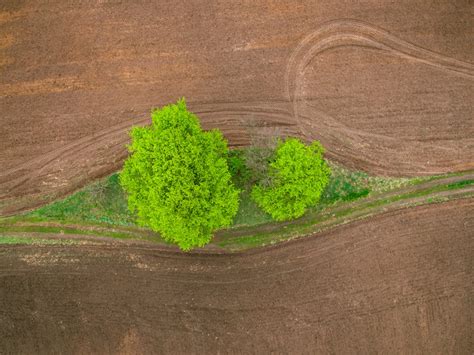 Csrd Et Taxonomie Cartographier Les Risques De Durabilité Dans Le