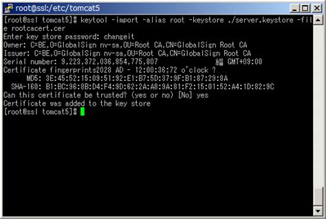 20 Keytool Generate Keystore Noprompt Generatekey
