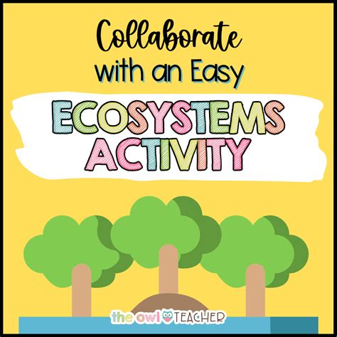 Collaborate With This Easy Ecosystems Activity The Owl Teacher