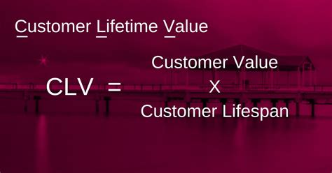 Customer Lifetime Value Why It Matters To Your Marketing Investment