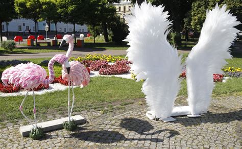 У Київ завітає гарна літня погода Вечірній Київ