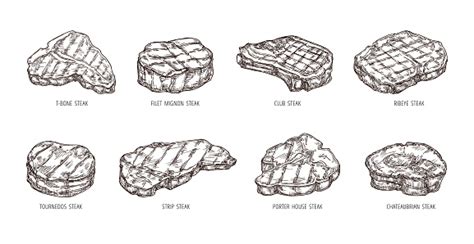 스케치 스테이크 손으로 그린 쇠고기 음식 조각 바베큐 고기 스트립 클럽 및 Ribeye 스테이크 벡터 세트 꽃등심 스테이크에