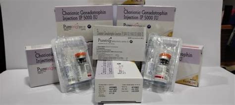 Hcg 5000 Iu Injectable Drop Shipping Packaging Size 1 Vial In New Delhi