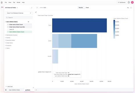 Custom Fields Omni Analytics Documentation