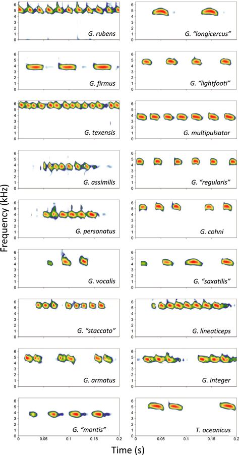 Spectrogram Representations Of 02 S Of Song From Confirmed Host