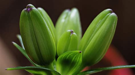 Small Sensor Photography By Thomas Stirr This Website Celebrates The Joy Of Photography And