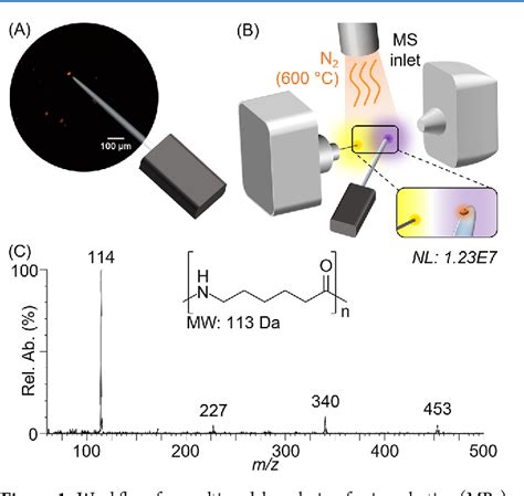 Figure 1 From Rapid Single Particle Atmospheric Solids Analysis Probe Mass Spectrometry For