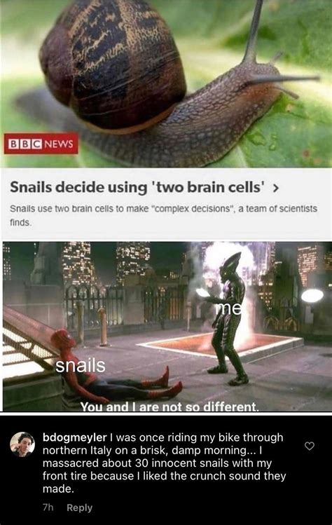 Cursed Snail R Cursedcomments
