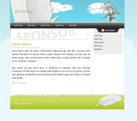 Dotnetnuke Skinning 101 Part 1 Dnn Corp