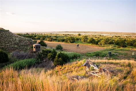 Beginners Guide To Planting Successful Food Plots Whitetail Properties