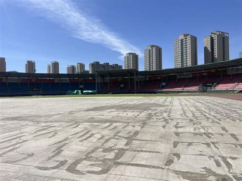 Амьдрал Төв цэнгэлдэх хүрээлэнгийн ногоон зүлгийг хуулжээ Баяр наадмаас өмнө цэнгэлдэх