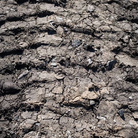 Per And Polyfluoroalkyl Substances Pfas In Soil