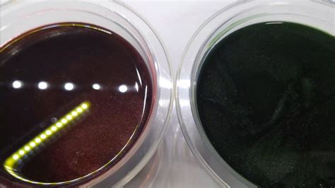 미리 메리크리스마스 무편집 영상 공유 Youtube