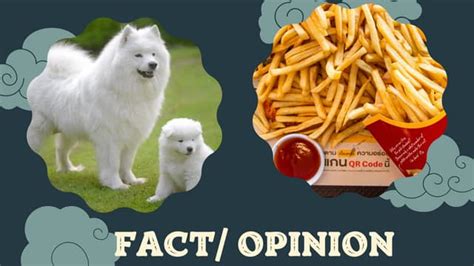 Factual Subjective Pdf For The Viewerss Pdf Civic Affairs Politics