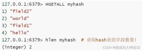 关于redis 五大基本数据类型，以及使用最全演示）redis的基本类型的使用示例 Csdn博客