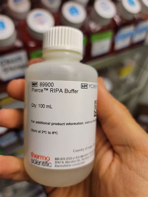Good Buffer To Lyse Cells For Protein Detection Kit