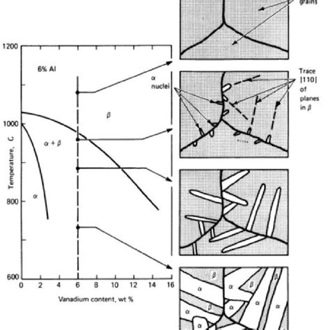 Phase Diagram For Ti6al4v And Schematic Microstructure At Intermediate Download Scientific