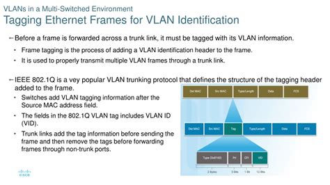 What Are The Different Vlan Frame Tagging Techniques At Marjorie Summerville Blog