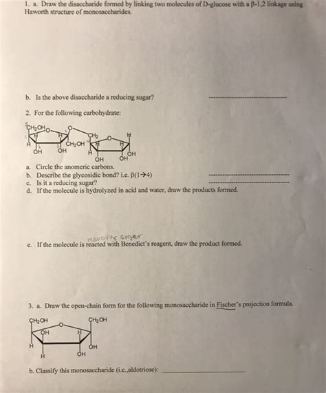 Solved 1 A Draw The Disaccharide Formed By Linking Two