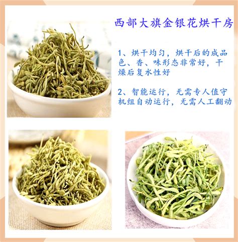 金银花烘干房 西部大旗