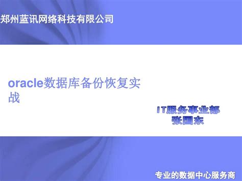Oracle数据库备份恢复实战教案word文档在线阅读与下载无忧文档
