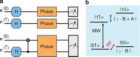 General Scheme And System Description A Phase Estimation Schemes Of Download Scientific
